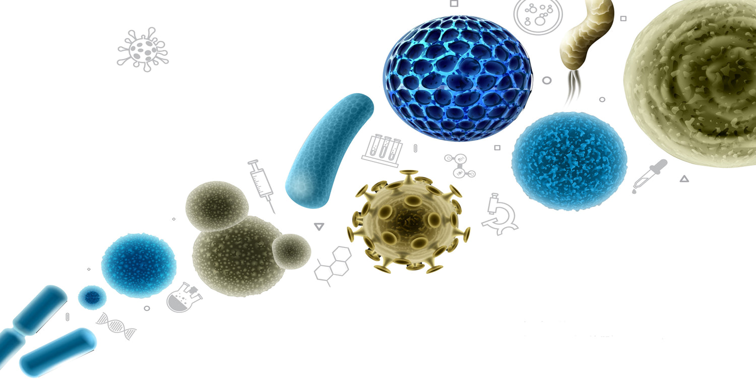 Water Filters and Purifiers - Pure Filters Europe